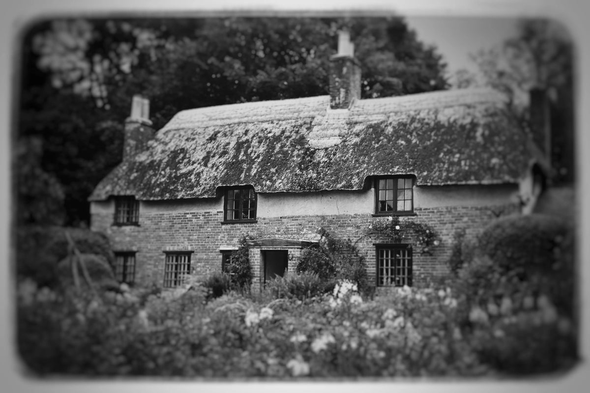 Thomas Hardy collection - wood from Hardys cottage and Max Gate ...